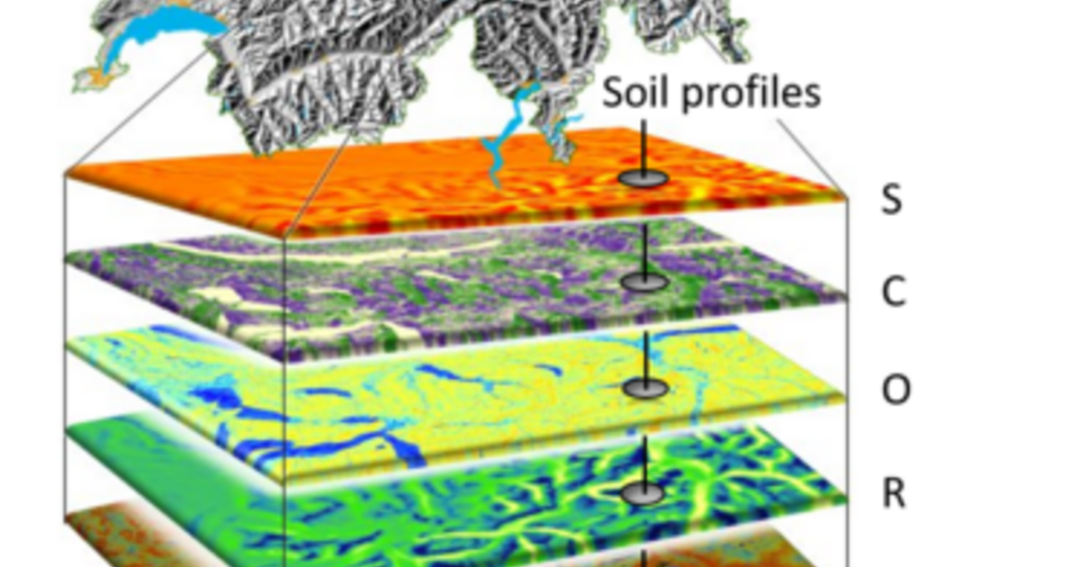 SOMA-CH - High-resolution soil maps for the Swiss forest