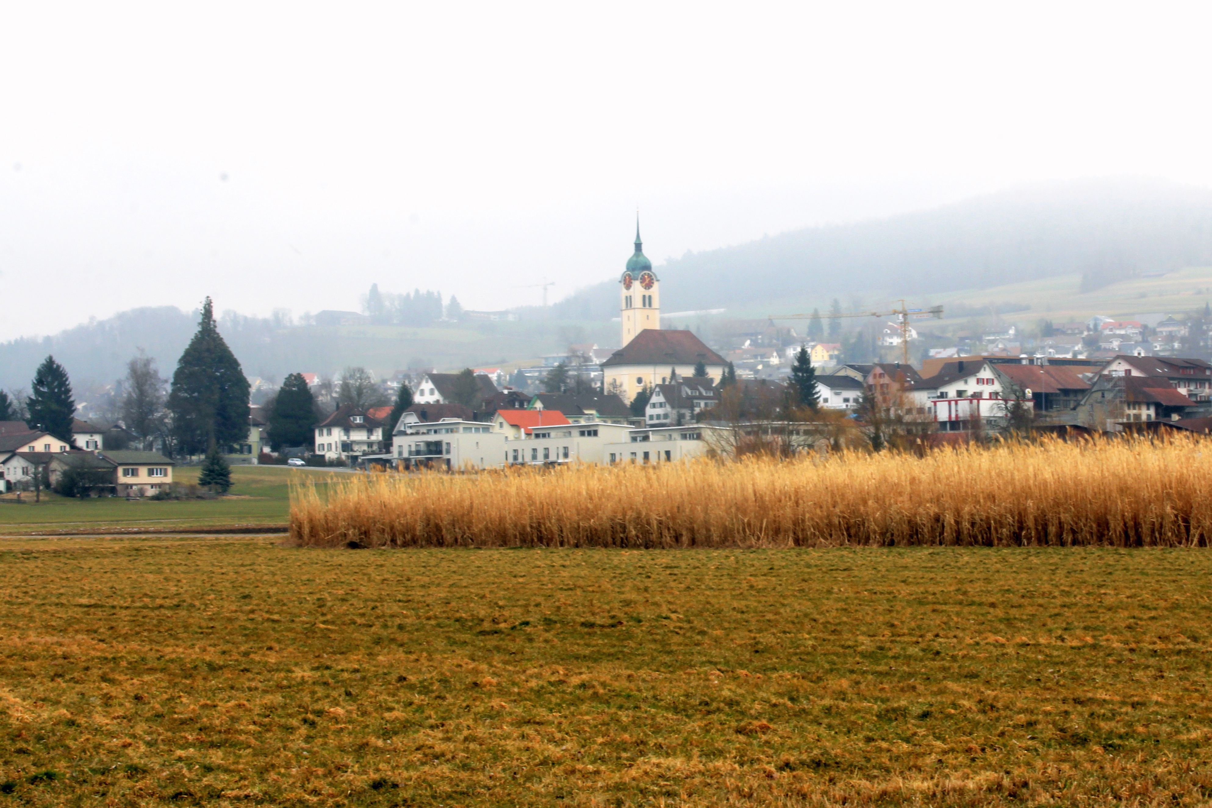 Die Schweizer wollen am liebsten im Dorf leben