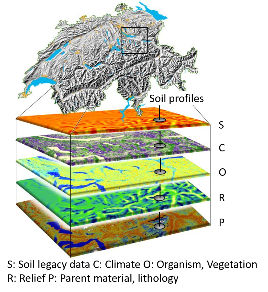 SOMA-CH - High-resolution soil maps for the Swiss forest